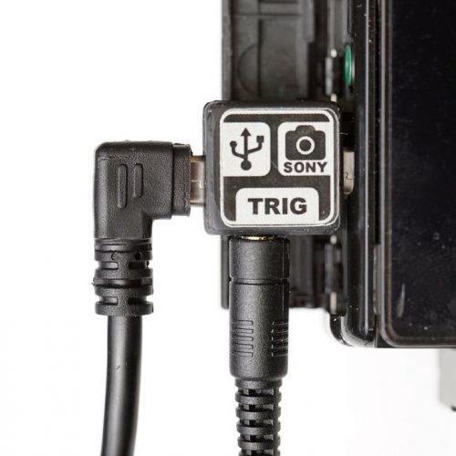 SnapTether Shutter and USB Tether Splitter for Sony Multi - SlideSnap